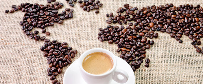 Try a Little of Everything with Sammy's Coffee Sample Size Portions